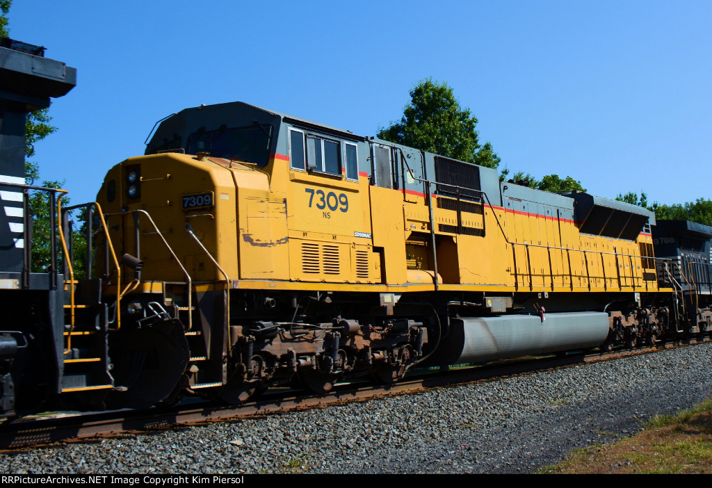 NS 7309